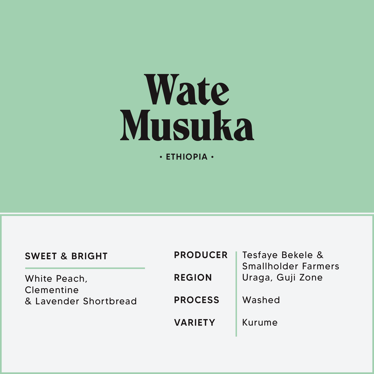 Wate Musuka - Ethiopia – Silverbird Roasting Co.